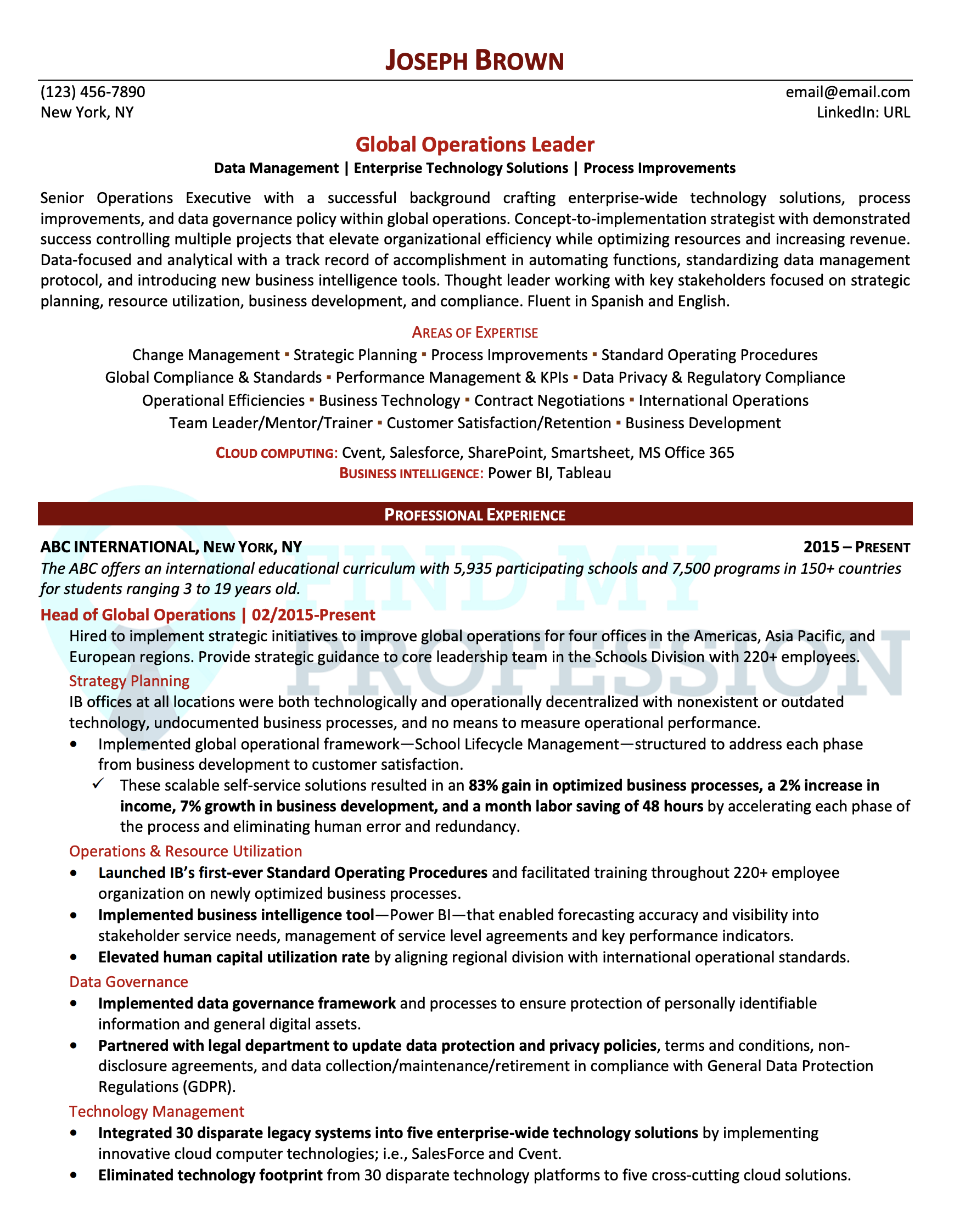 Executive Resume Samples Director VP C Level 